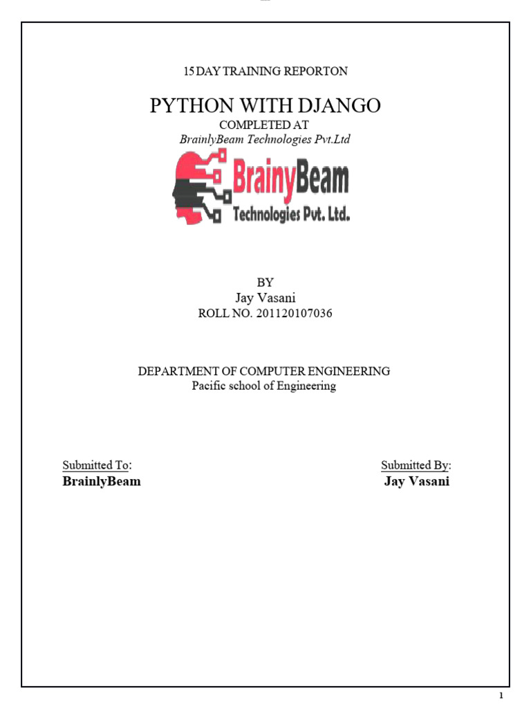 Jay Vasani Repor (Django) | PDF | Model–View–Controller | Web Application