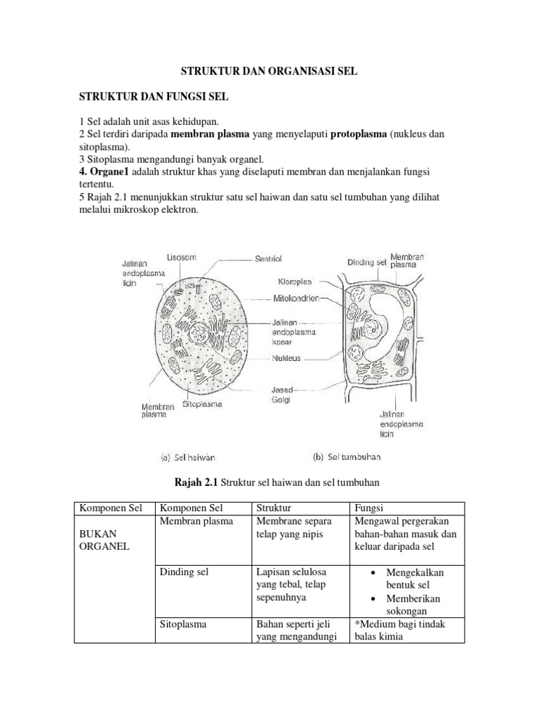 Biologi Bab 2 | PDF