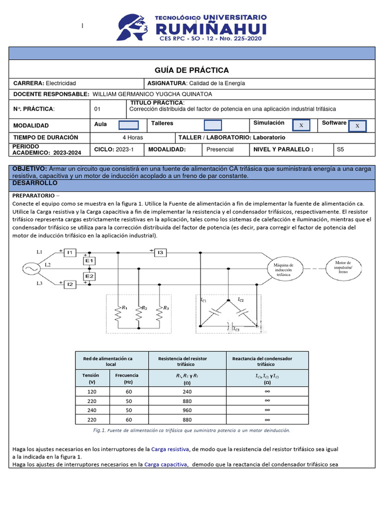 Guia Practica Pea | PDF | Energia electrica | Red eléctrica