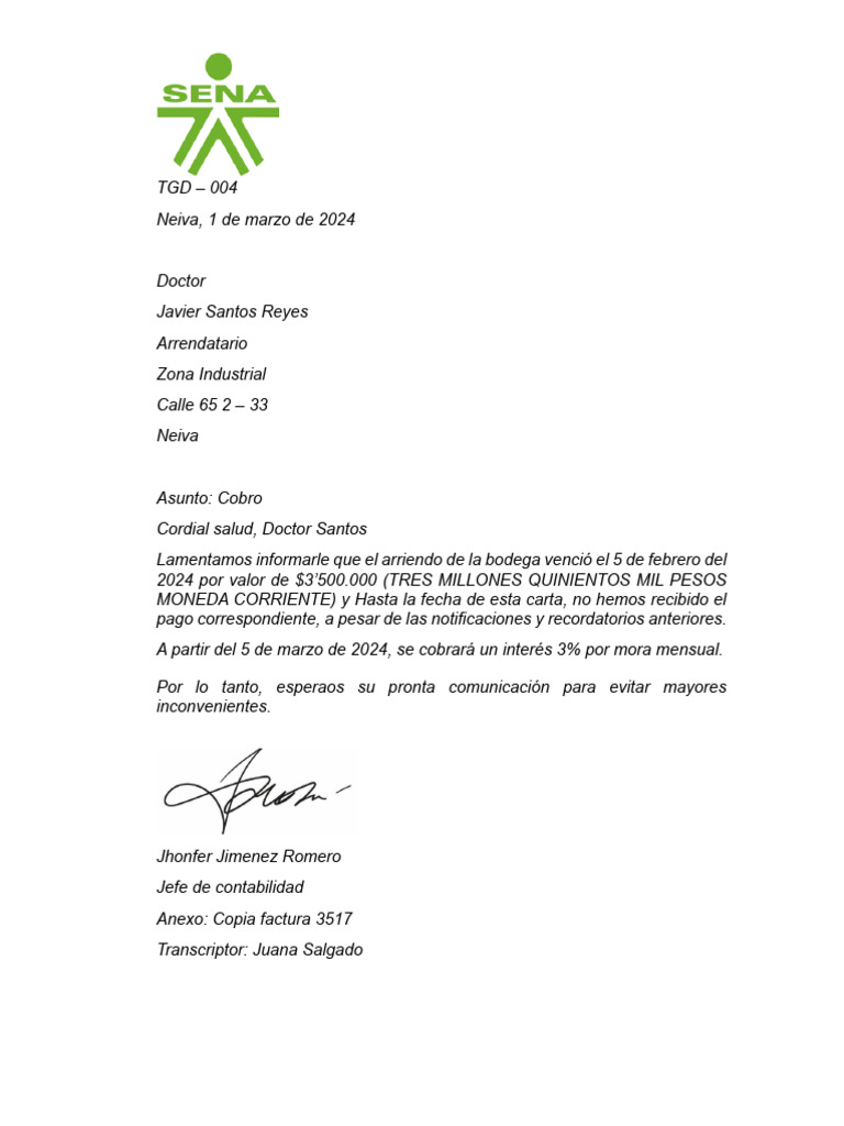 TGD - Juana - Valentina - Salgado (1) CORRECCION | PDF