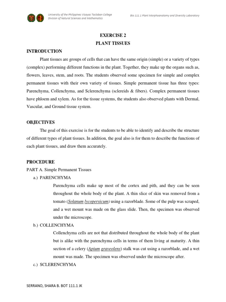 Ex2 Lab Report Serrano | PDF | Tissue (Biology) | Plant Stem