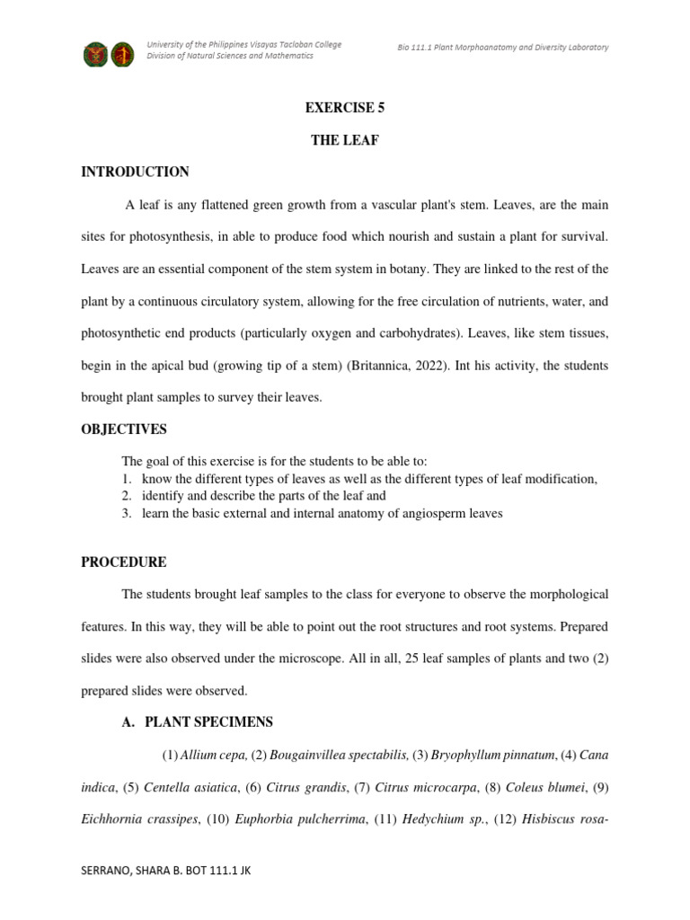 Ex5 Lab Report Serrano | PDF | Root | Leaf