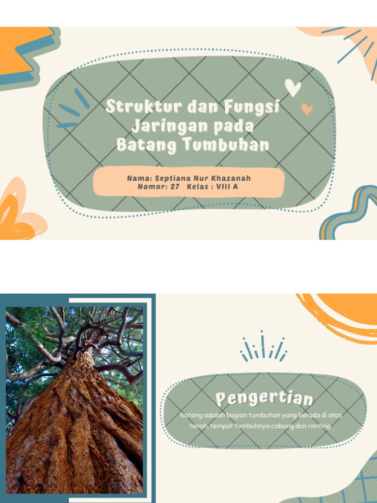 Presentasi Ipa Bagian Struktur Dan Fungsi Jaringan Pada Batang | PDF