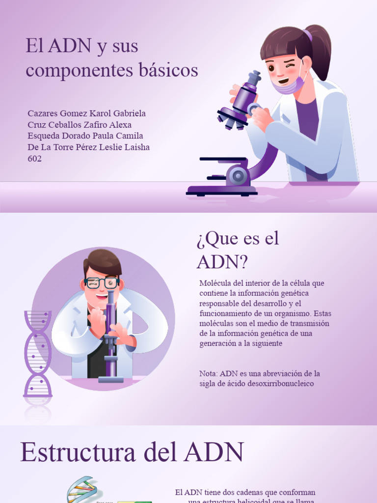 Eladnysus Componentes Básicos | PDF | Adn | Nucleótidos