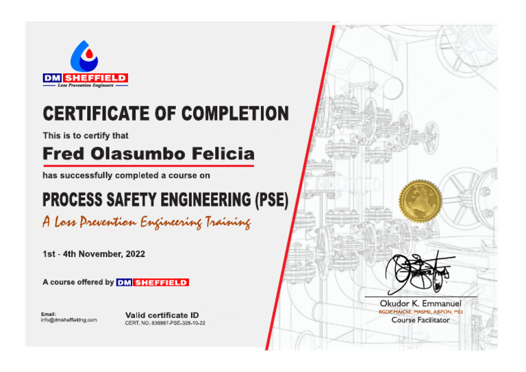 Process Safety Engineering Certification | PDF