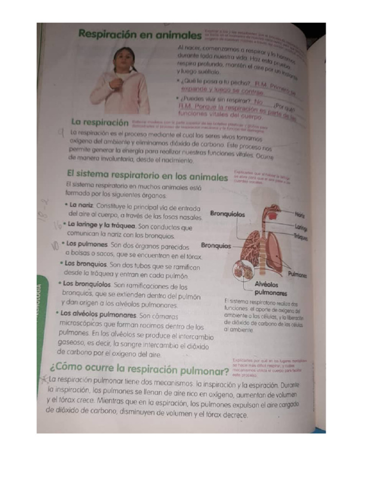 Imprimir Sophia Mendez | PDF