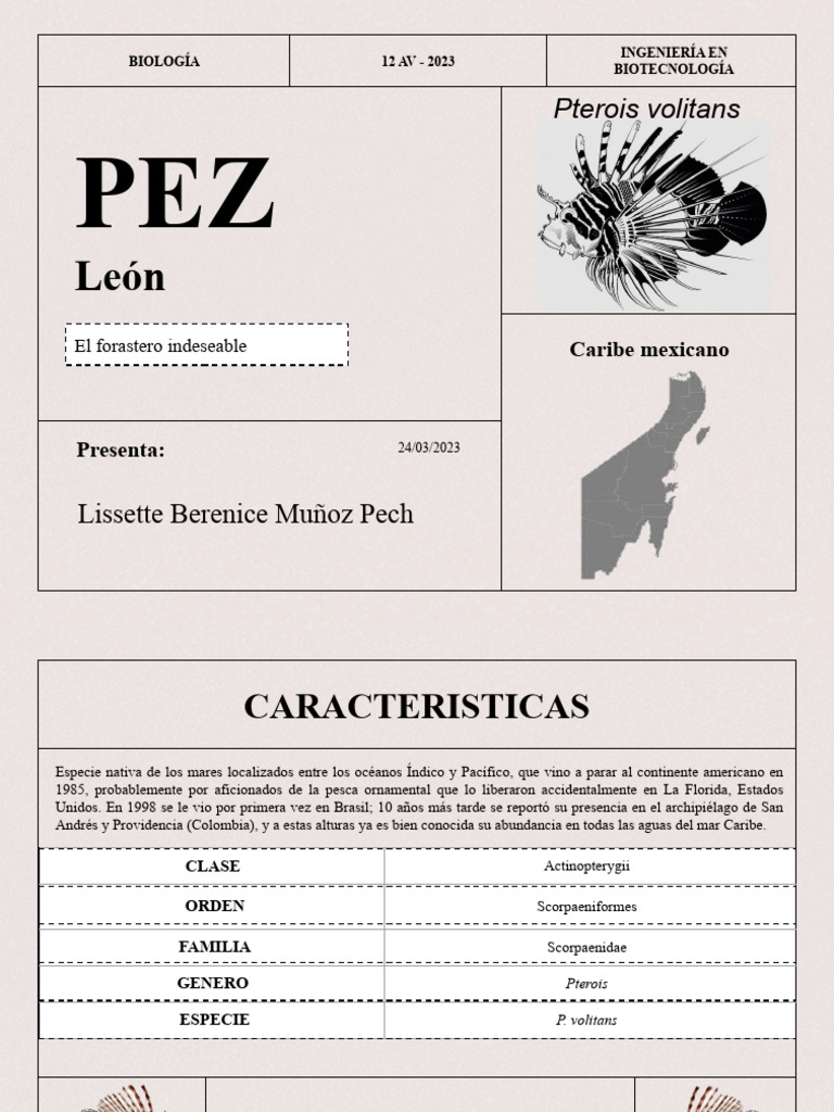 El Pez Leon | PDF | Pescado