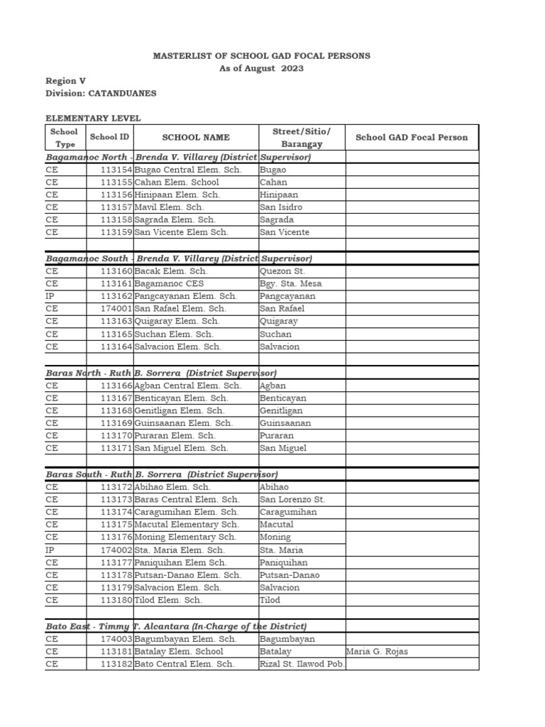 School-GAD-Focal-Persons-Elementary | PDF