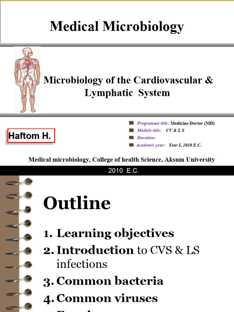 Cardiovascular Infections Overview | PDF | Streptococcus | Sepsis