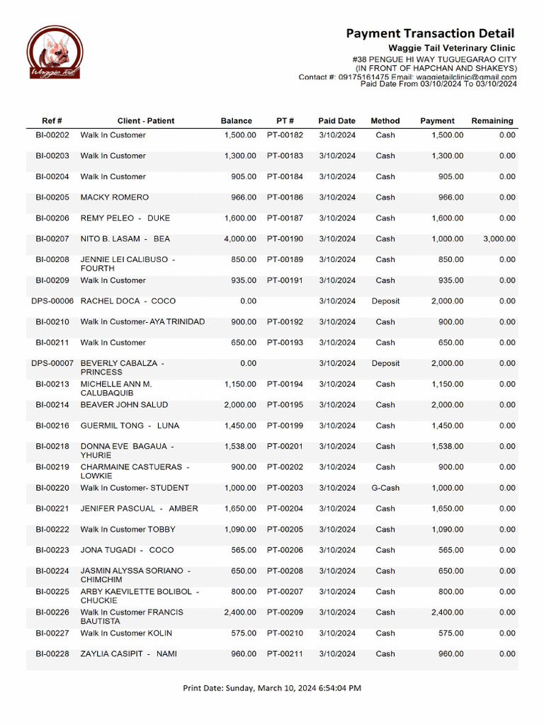 Payment Transaction Detail Report | PDF