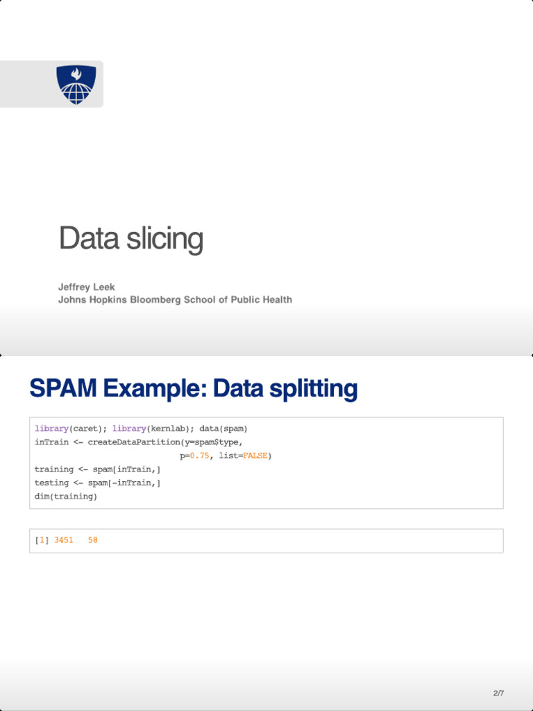 011 Data Slicing | PDF