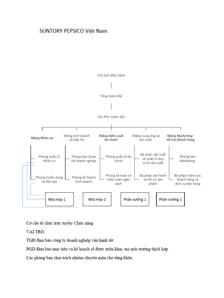 Suntory Pepsico Việt Nam | PDF