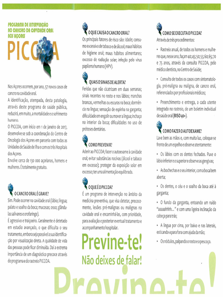 Folheto PICCOA | PDF