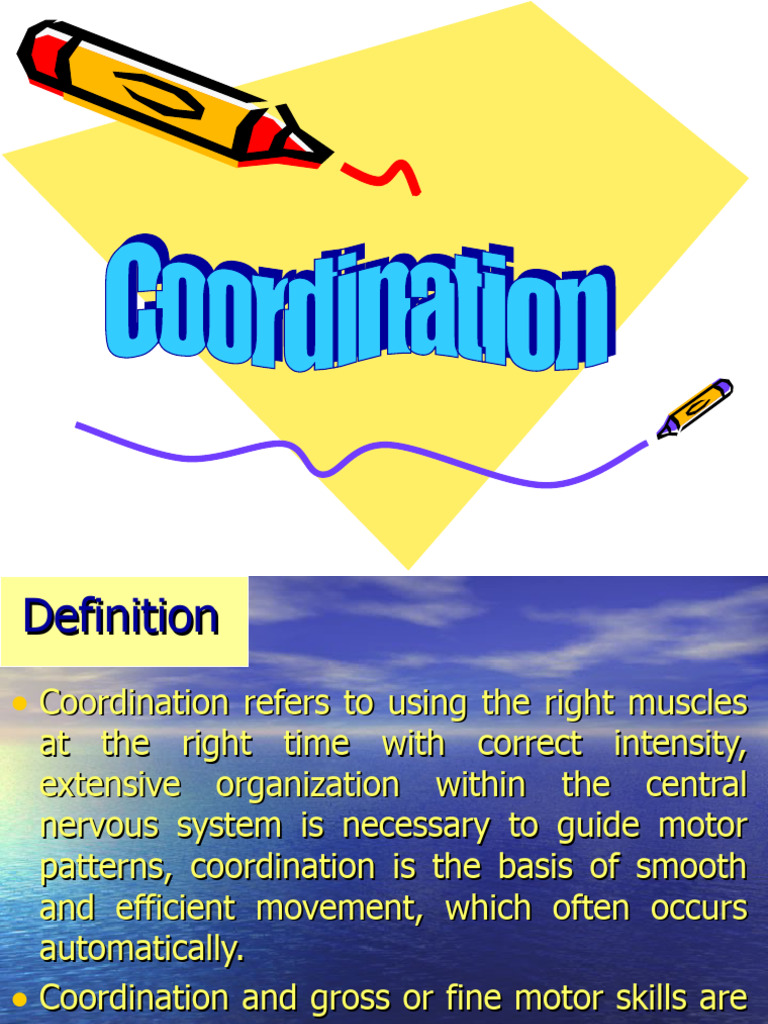 Coordination | PDF | Anatomical Terms Of Motion | Senses