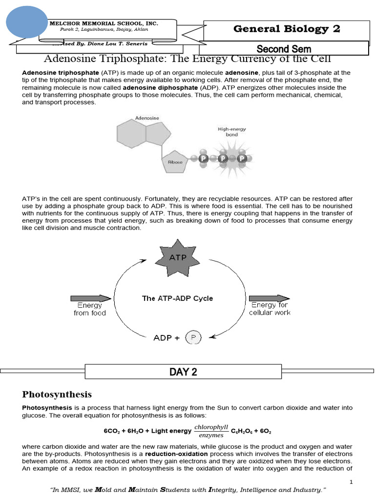 Gen Bio Module | PDF | Photosynthesis | Redox