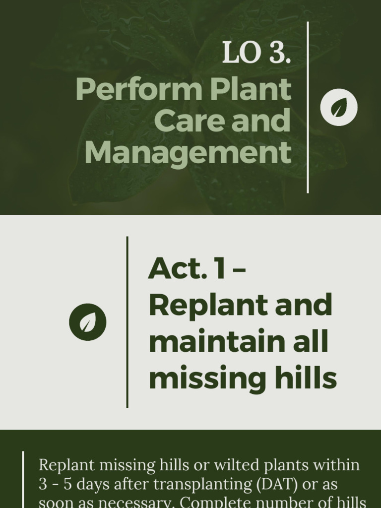 Perform Plant Care and Management | PDF | Pest (Organism) | Plant Nutrition