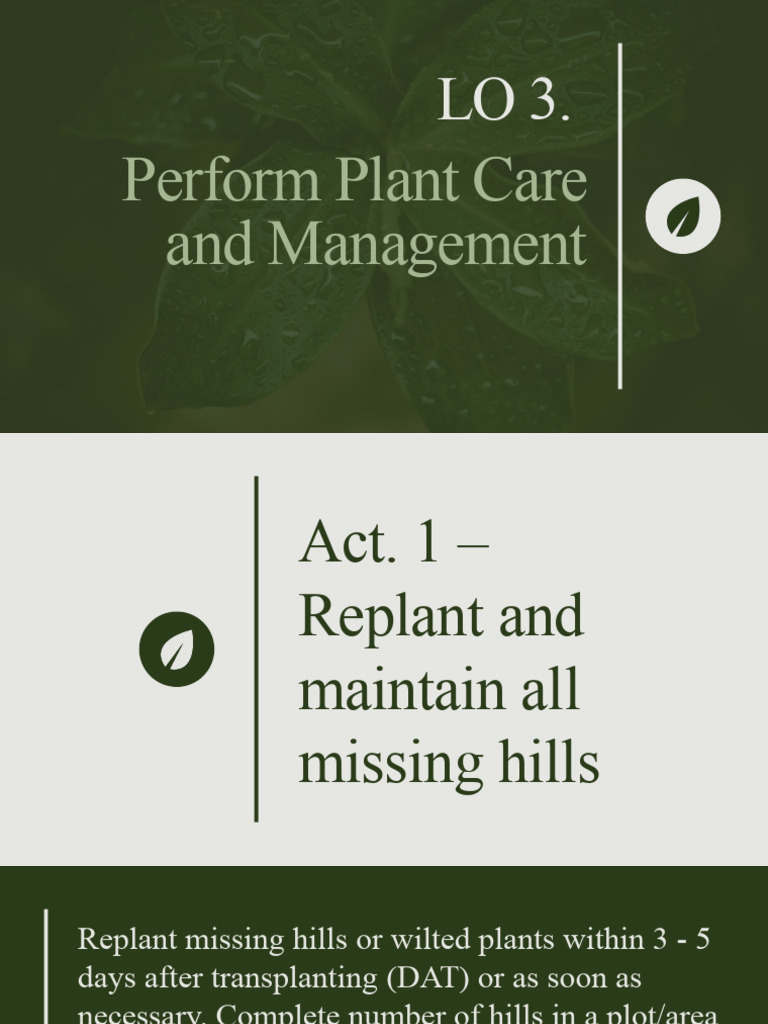 LO3 Perform Plant Care and Management | PDF | Pest (Organism) | Plant ...