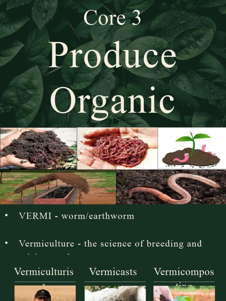 VERMI | PDF | Compost | Manure