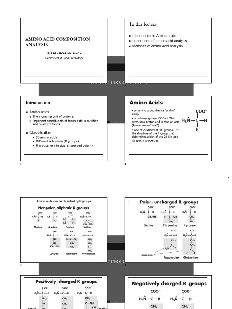 Lecture 12. Amino Acid Composition Analysis | Download Free PDF | Amino Acid | High Performance ...