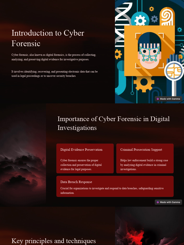 Introduction To Cyber Forensic | PDF | Computer Forensics | Digital ...