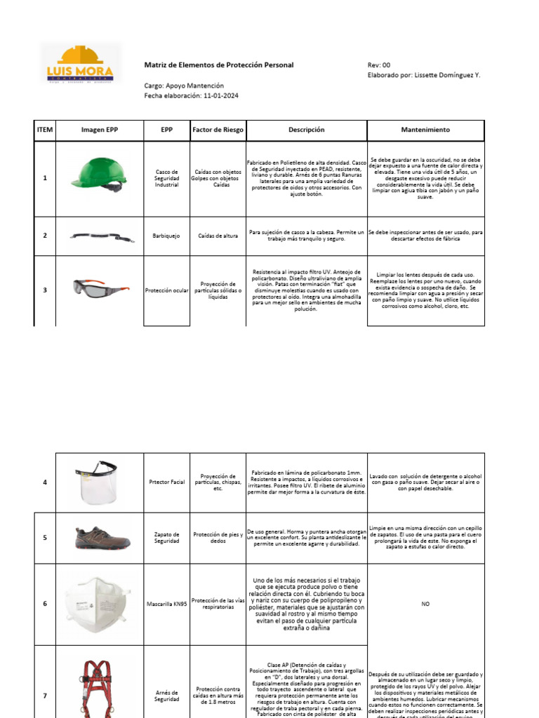 Matriz EPP Luis Mora | PDF | Guante