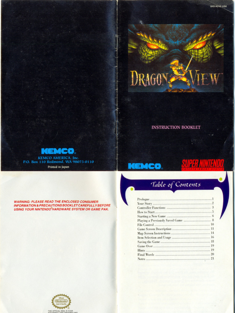 Dragon View Manual | PDF