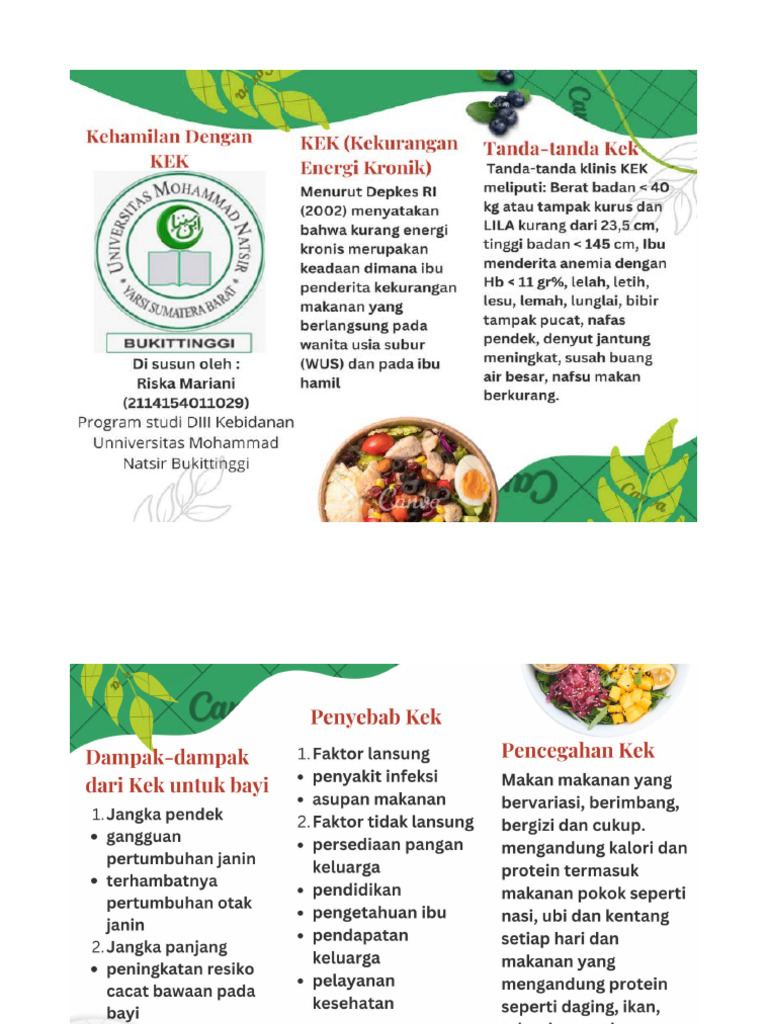 Leaflet KEK Riska | PDF