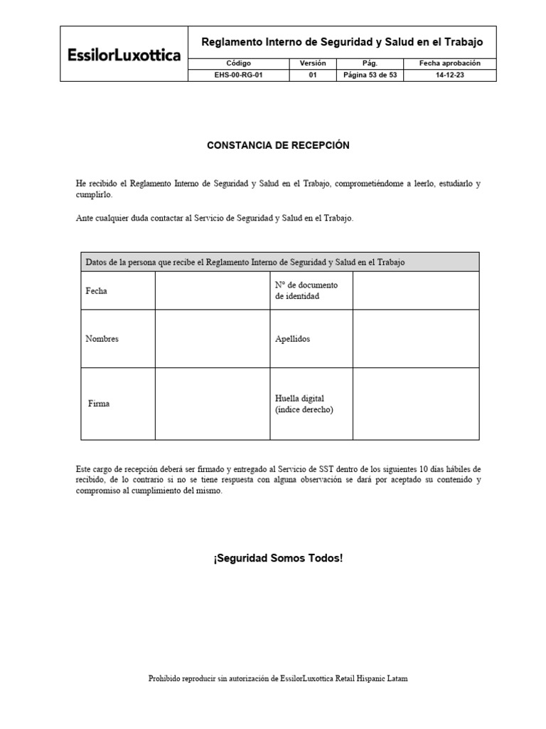 Constancia de Recepcion RISST | PDF