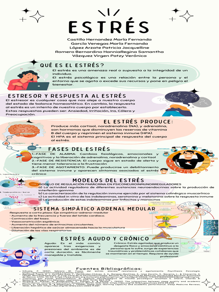 Infografía Estres | PDF | Estrés (biología) | Órgano (anatomía)