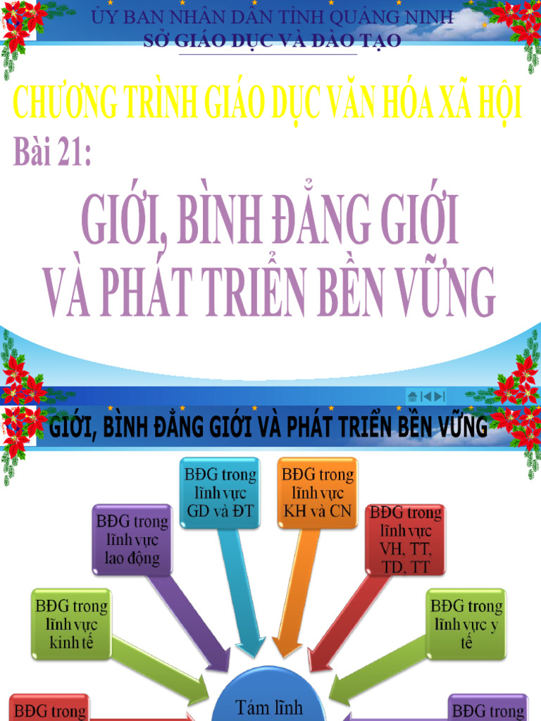 B. Bai 21 Gioi, Binh Dang Gioi Va Phat Trien Ben Vung | PDF