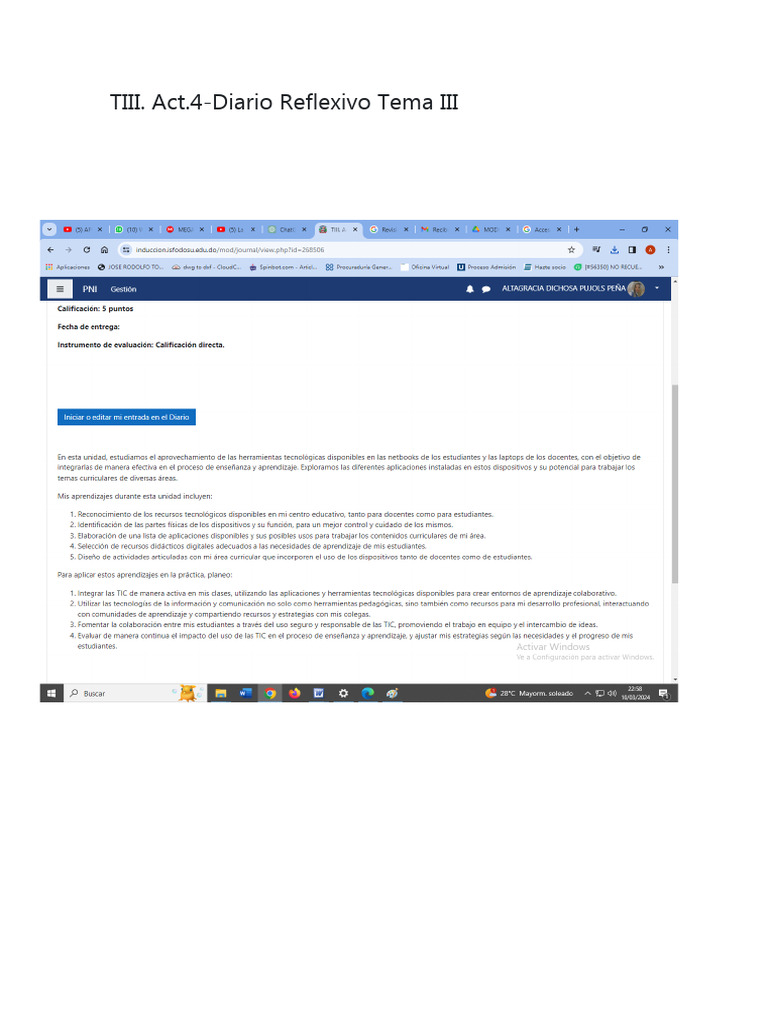 TIII. Act.4-Diario Reflexivo Tema III | PDF