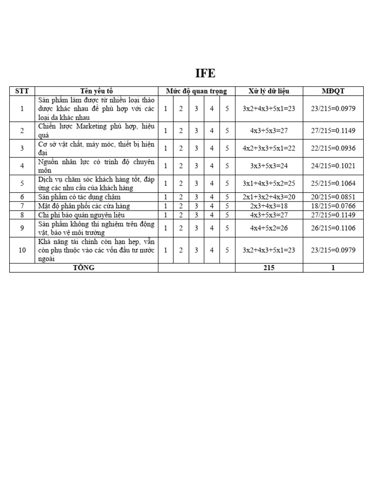 bảng xử lý số liệu IFE VÀ EFE | PDF