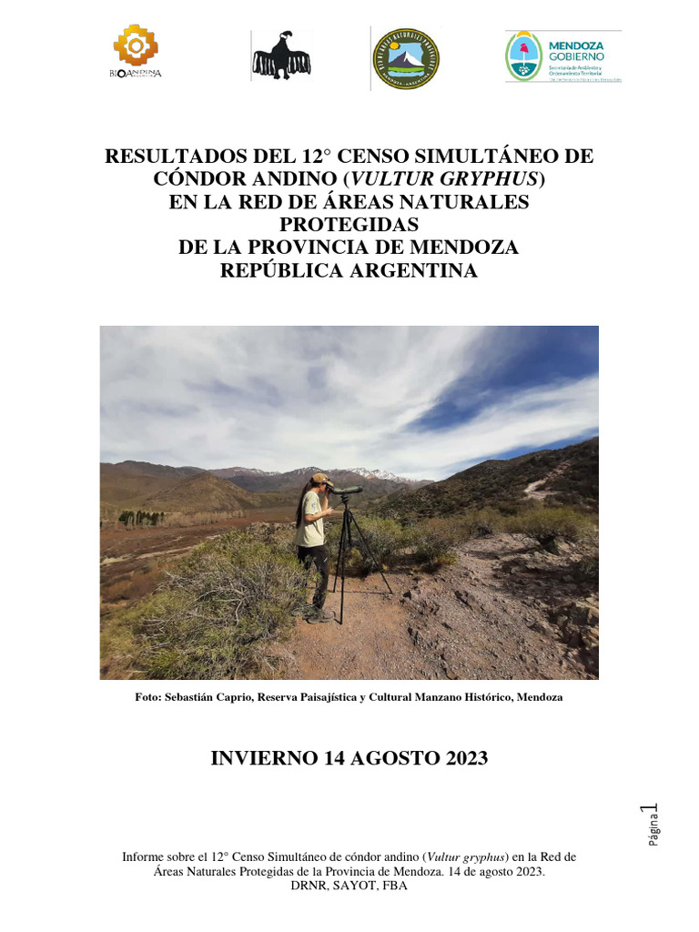 INFORME 12 CENSO Cóndor Andino MENDOZA | PDF | Invierno | Fenómenos de ...