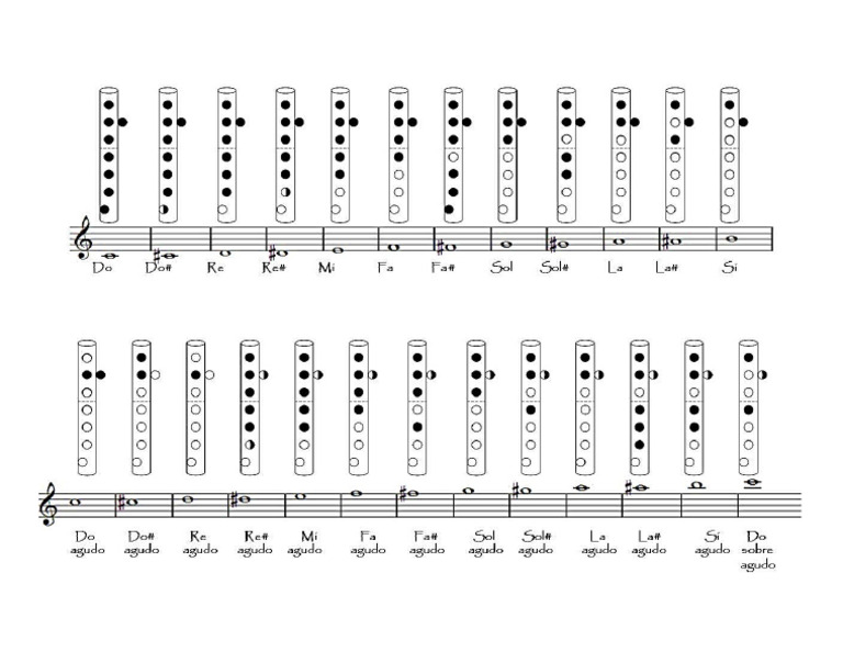 Notas de La Flauta Dulce | PDF