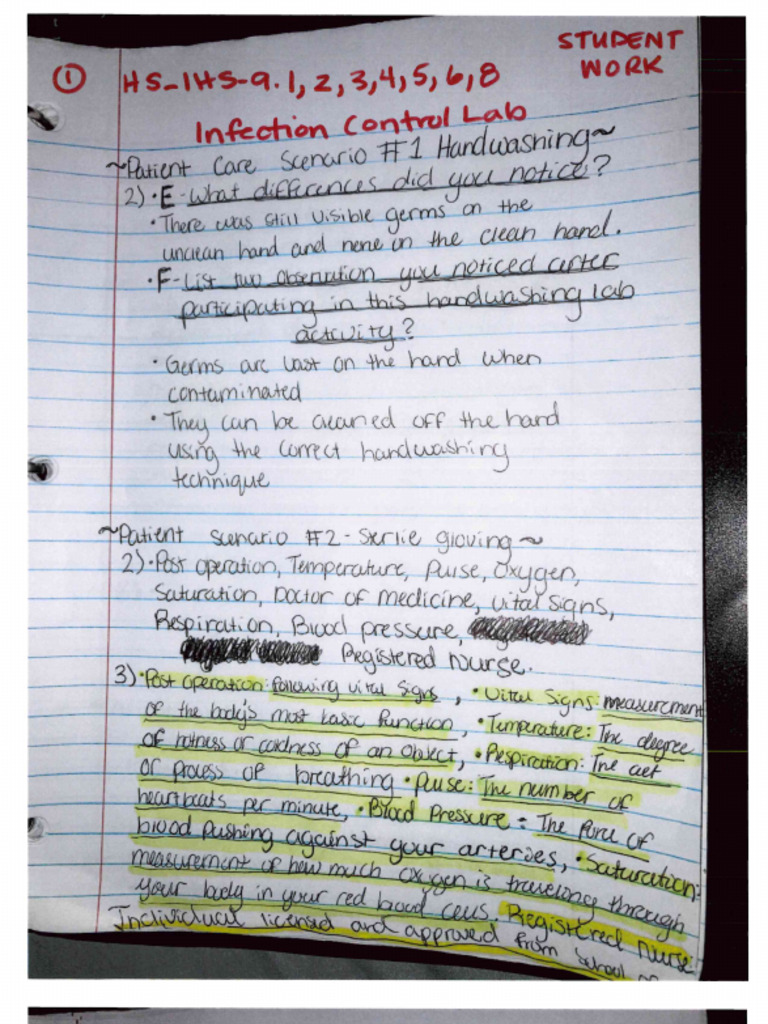 Student Work JG 2023 | PDF