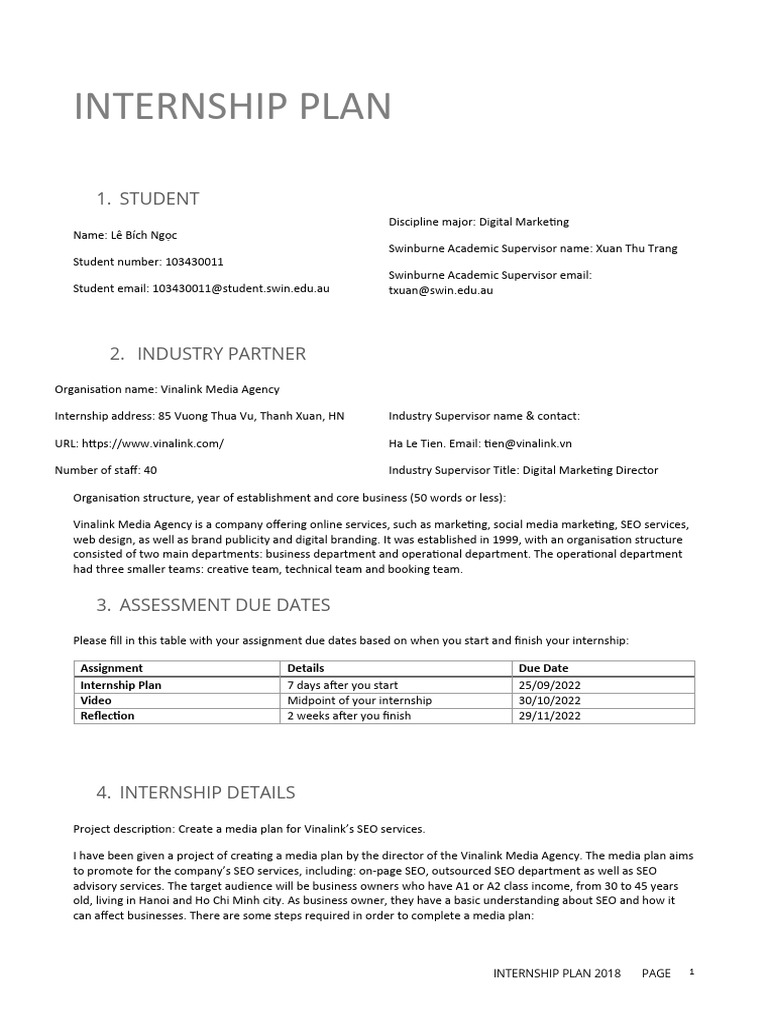 Internship Development Plan Template | PDF | Target Audience | Graphic ...