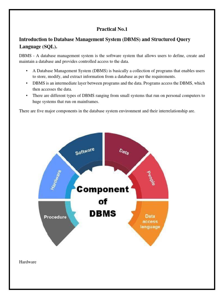 Yadav Saab - DBMS | PDF