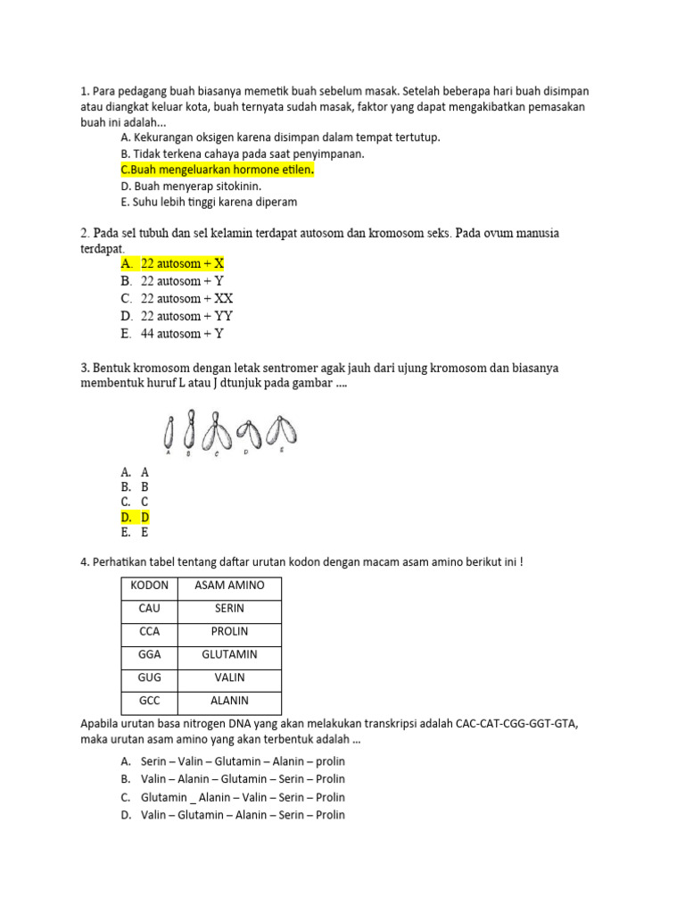 Kumpulan Soal Us 23-24 | PDF