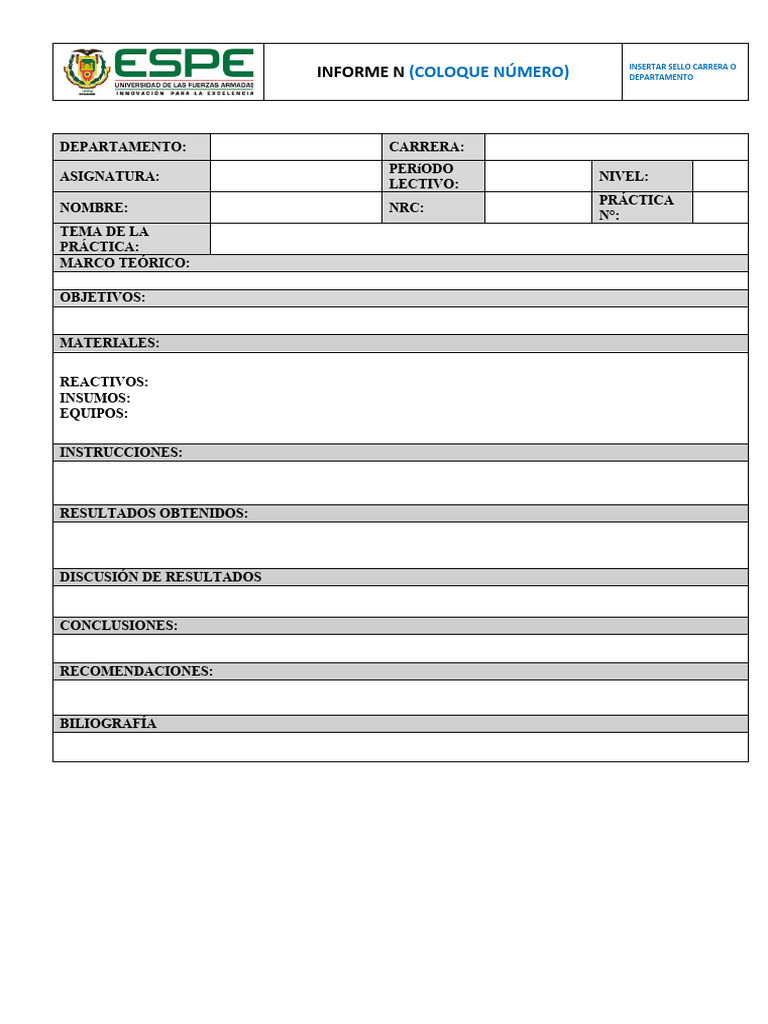 Formato de Informe | PDF