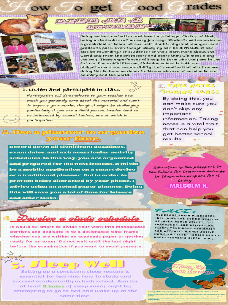 Mil Inforgraphics | PDF | Sleep | Brain