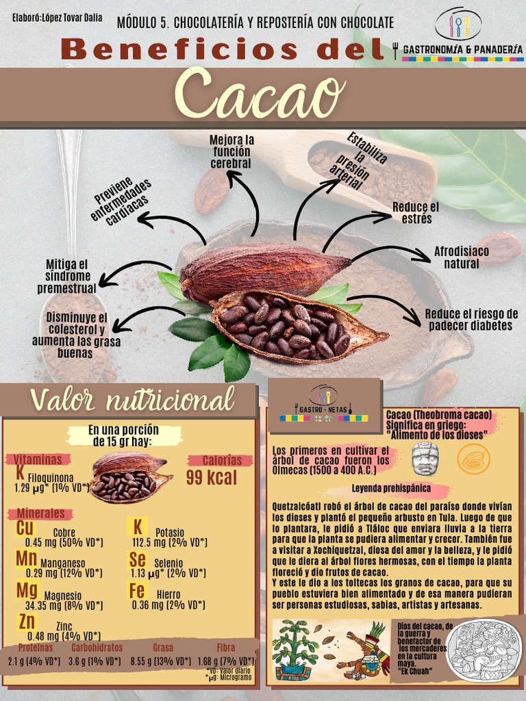 Beneficios Del Cacao | PDF | Nutrición | Dieta y nutrición