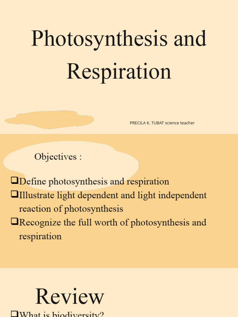 Photosyntheis and Respiration | PDF | Cellular Respiration | Adenosine ...