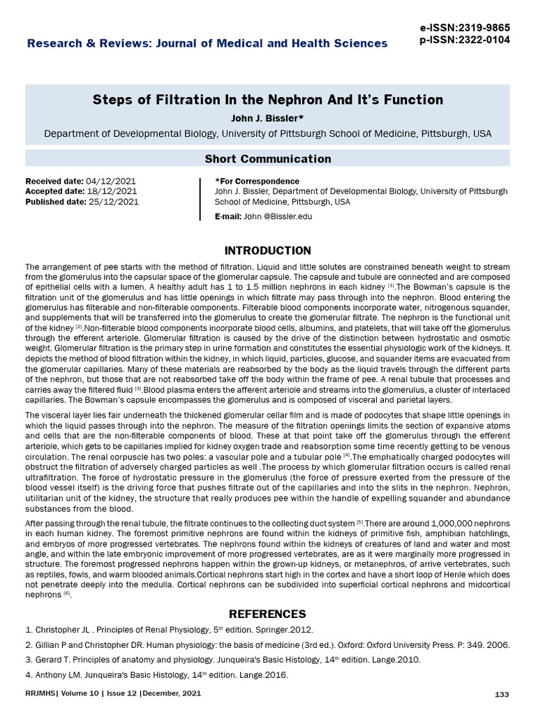 Steps Of Filtration In The Nephron And Its Function Pdf Kidney