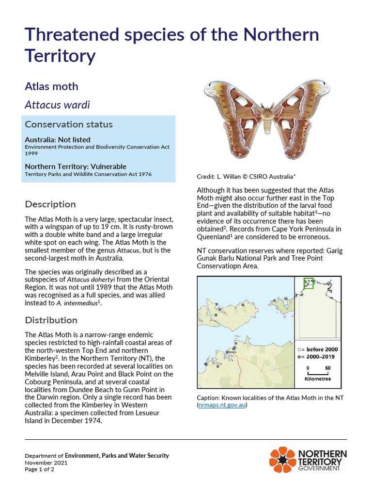 Atlas Moth | PDF | Science & Mathematics