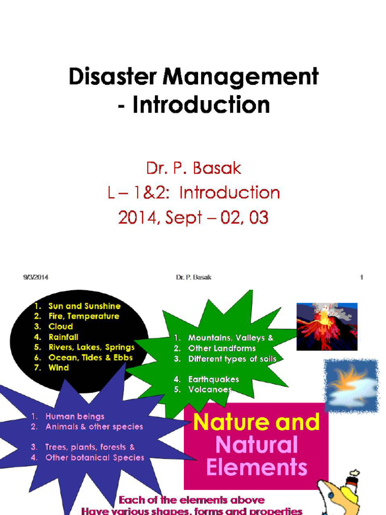 02 DM Basic Principles | PDF