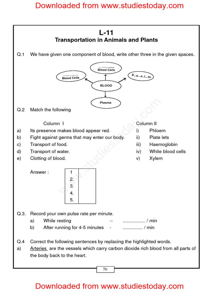 Transportation in Animals and Plants | PDF | Blood | Excretion
