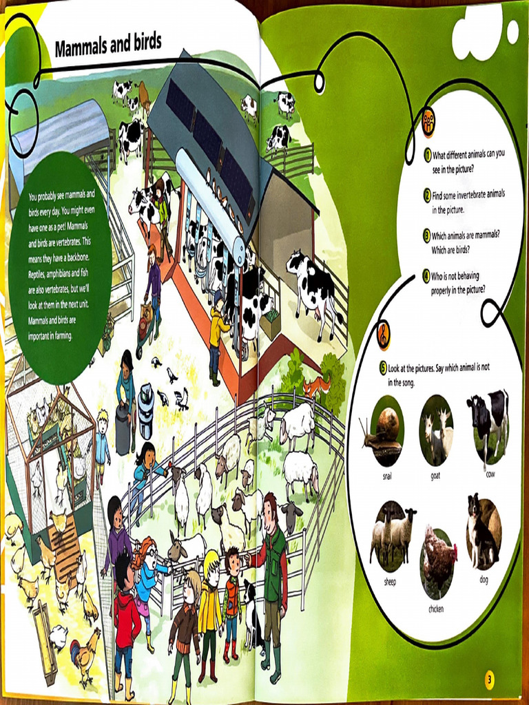 Scan Jan 3, 2024 | Download Free PDF | Mammals | Chicken