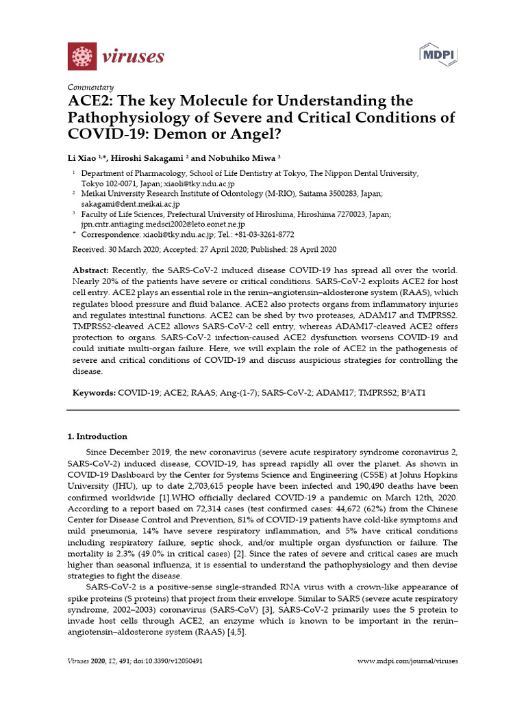 11ACE2 - The Key Molecule For Understanding The Pathophysiology of ...