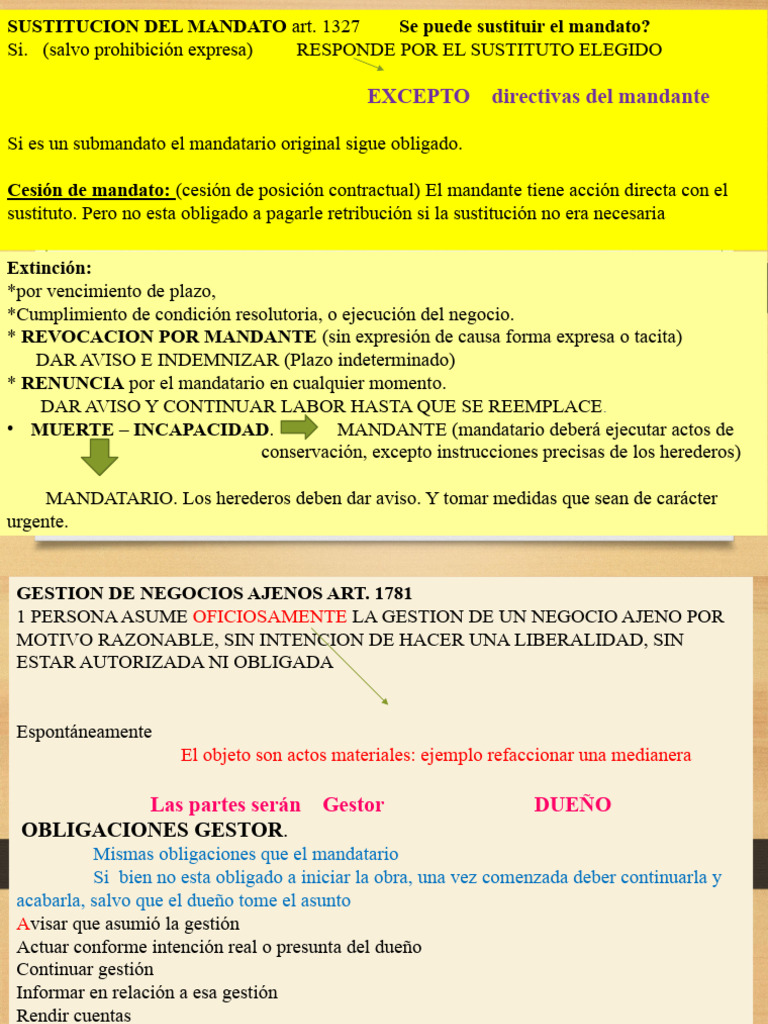 Mandato Gestion Negocios | PDF