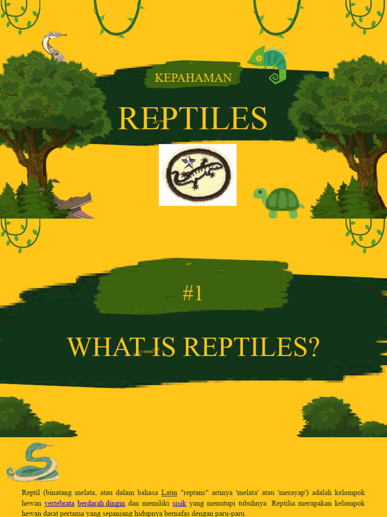 REPTILES | PDF